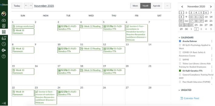 Canvas Walkthrough | NTC Student Success